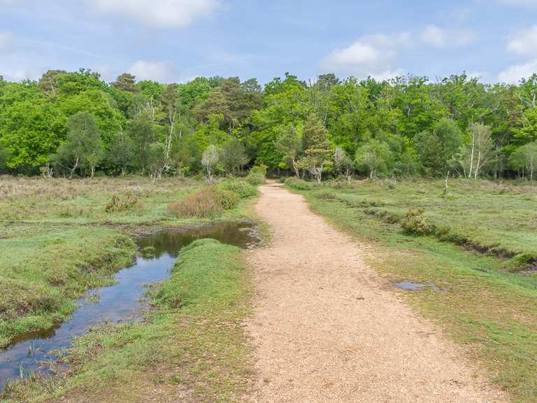 Brockenhurst Village — New Forest National Park | hike | Komoot