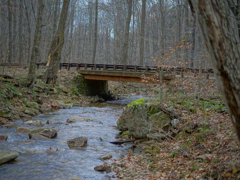 Laurel Summit State Park to Grove Run Trail loop — Forbes State Forest ...