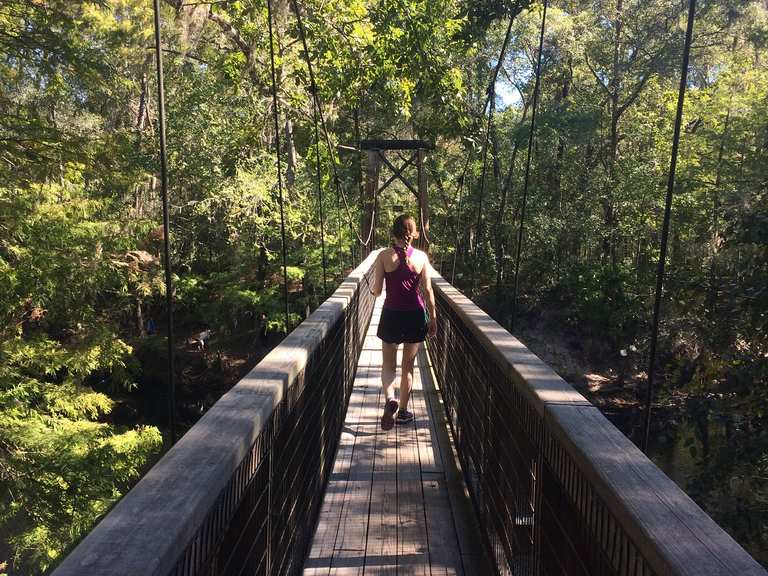 River Trail loop — O’Leno State Park | hike | Komoot