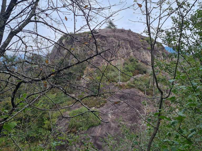 Réserve naturelle Bosco di Maia - Itinéraires vélo et carte | Komoot