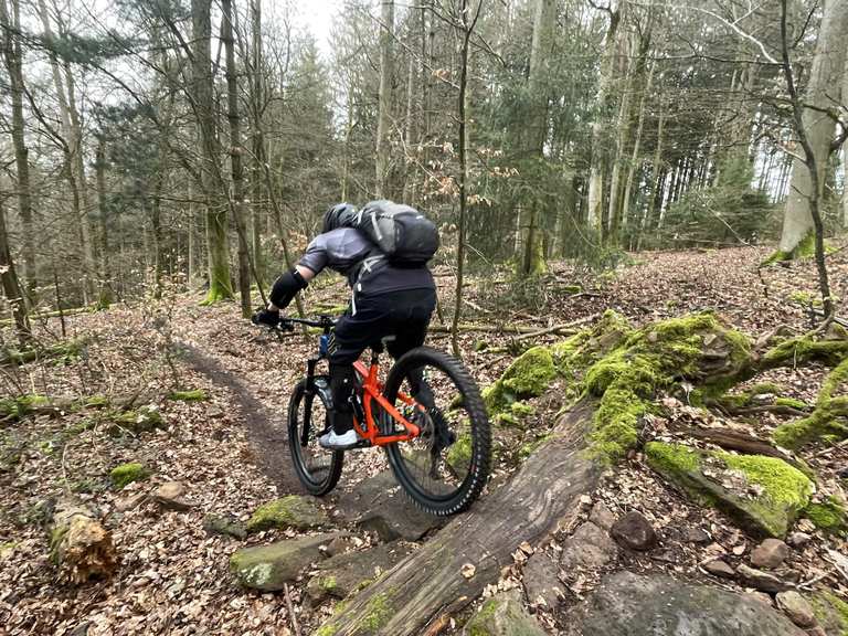 Lumberjack Trail – trasy MTB | Komoot