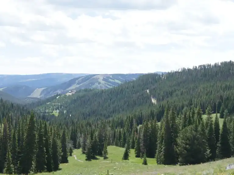 Beehive Basin — Custer Gallatin National Forest | hike | Komoot