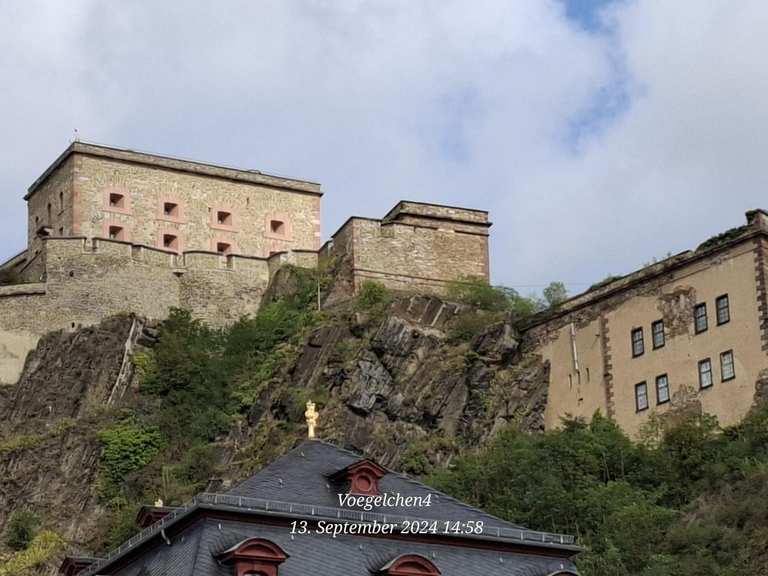 Fort Helfenstein / Burg Helfenstein: Wanderungen und Rundwege | komoot