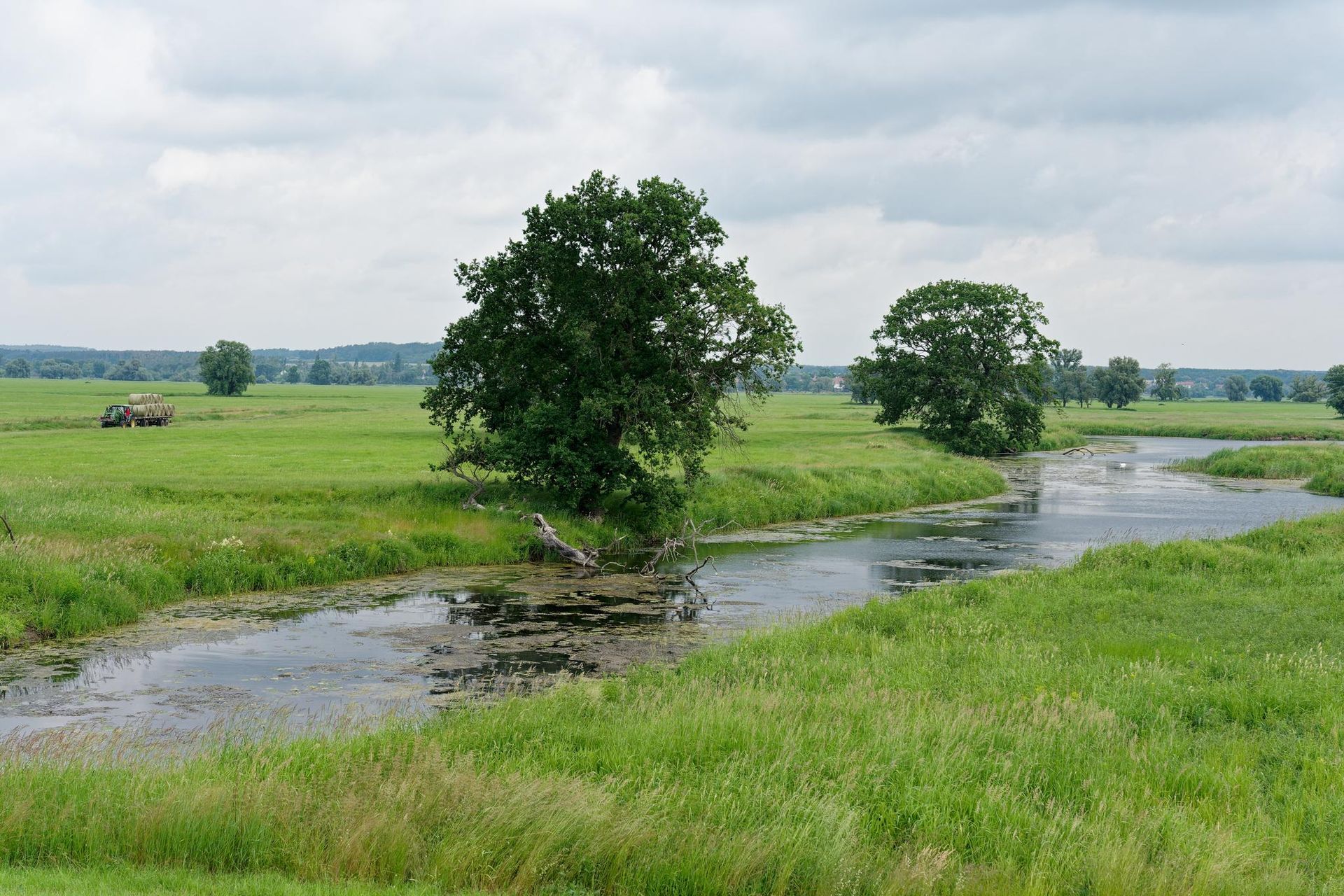 The Elbe Cycle Path — cross-border cycling pleasure | Cycling ...