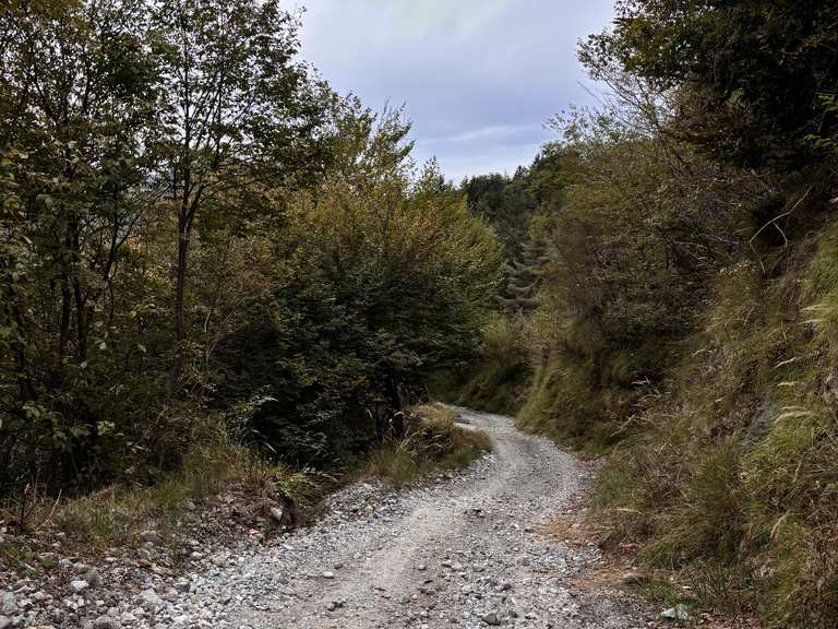 Malga Lusù mule track Mountain Bike Trails & Tracks | Komoot