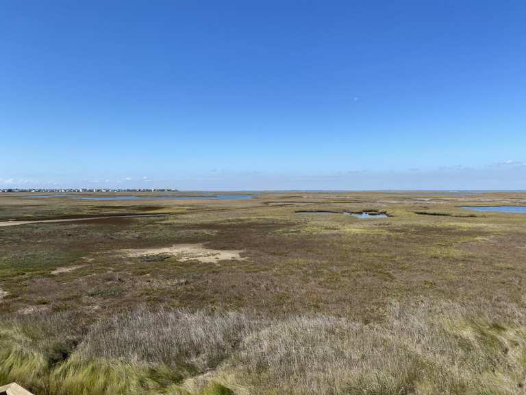 Oak Mott, Eskimo Curlew & Clapper Rail loop — Galveston Island State ...