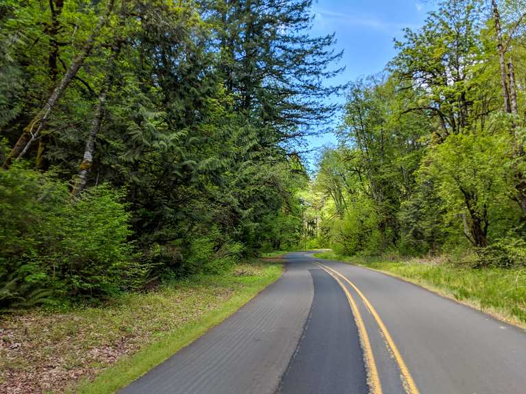 Forest Park, Rock Creek Road, Linnton e St. Johns Bridge loop ...