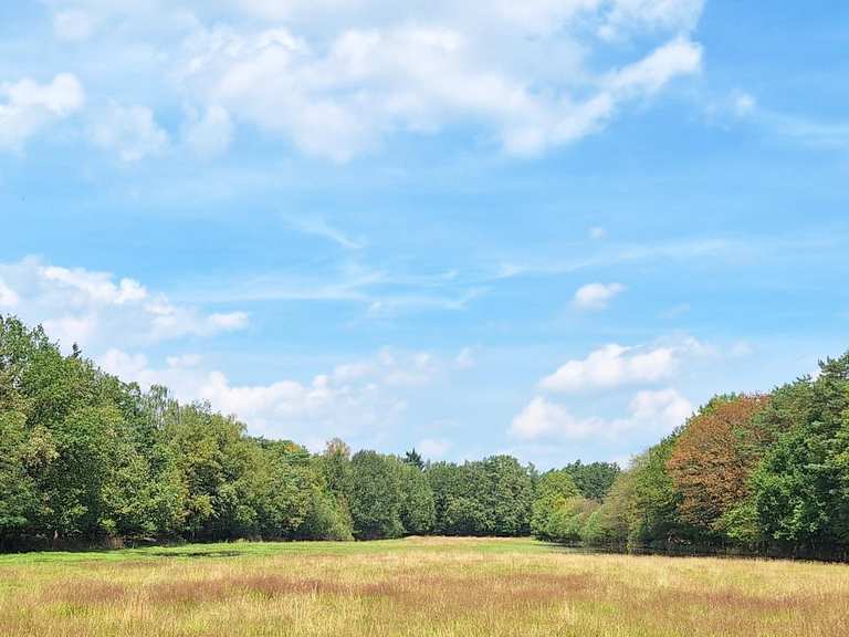Abzweigung Touristeninformationspunkt Guldenberg : Radtouren und ...