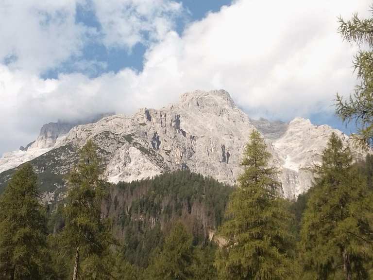 Sentiero del Prato dei Larici nel Parco Naturale Tre Cime : percorsi ...