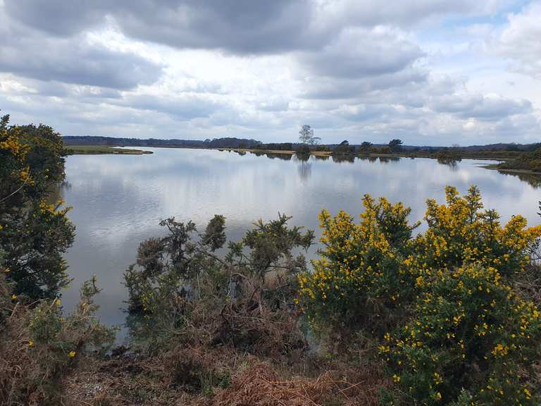 Andrew's Mare Lake: Wanderungen und Rundwege | komoot