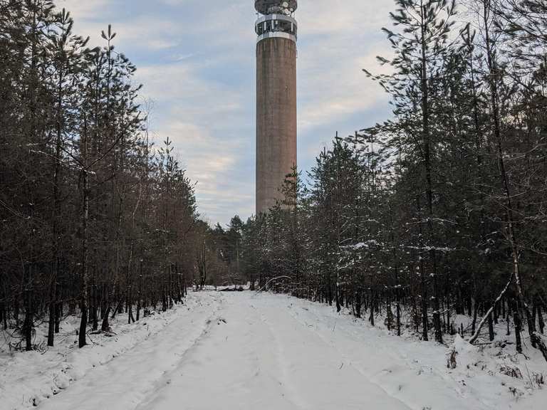 Pye Green BT Tower: Rutas de senderismo y caminatas | Komoot
