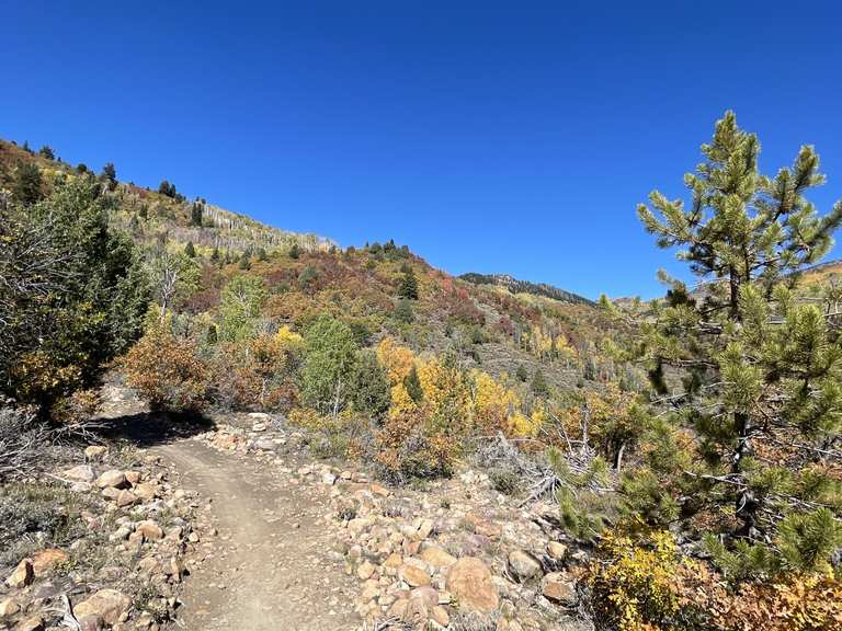 Bucle de Slate Creek - Bosque Nacional Uinta-Wasatch-Cache | Caminata ...