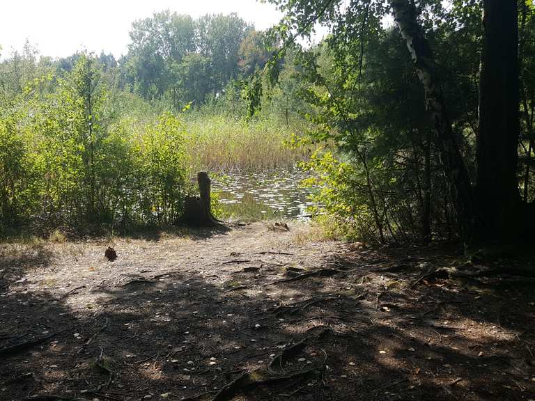 Wiata i okno na Jezioro Torfy: Mountainbike-Touren und -Trails | komoot