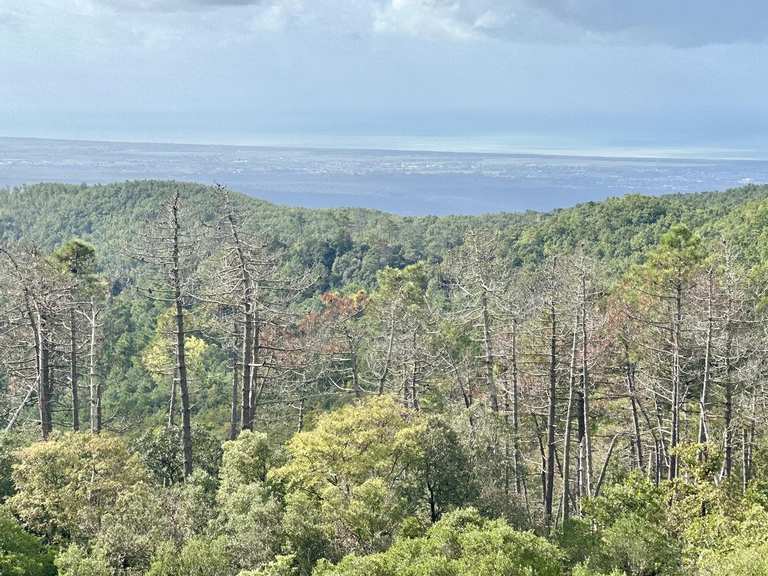 Uitzicht op de heuvels en de zee vanaf de windturbines van Poggio ...