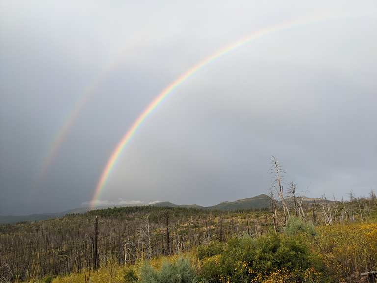 Bosque Peak loop via Bosque Trail — Cibola National Forest | Wanderung ...