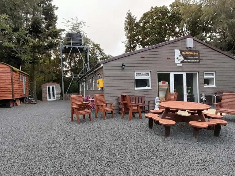 Thrunton Whittingham Trail – Forest Gravel Path loop from Whittingham ...