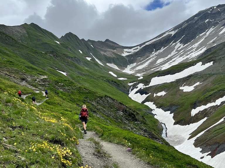 Val Ferret to Grand Col Ferret via Elena Refuge | hike | Komoot