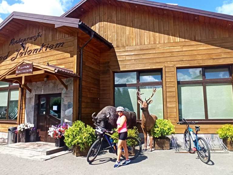 Pod Jelonkiem – Cycling Routes & How to Get There | Komoot