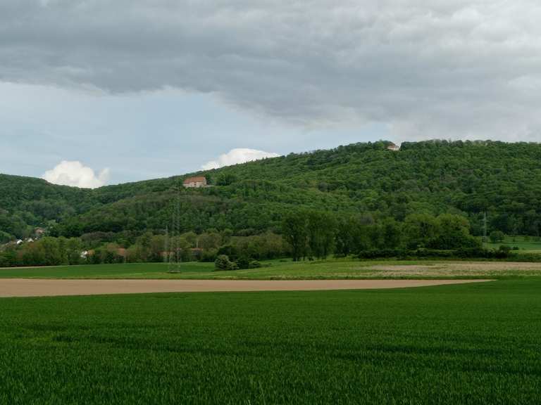 From Welsede to Deckbergen parallel to the B83. Road Cycle Routes and ...