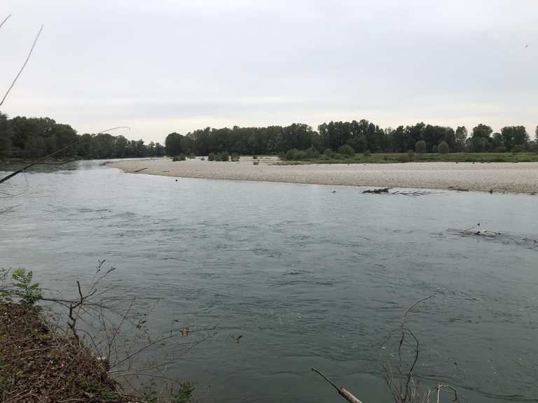 Narrow single track along the Adda Mountain Bike Trails & Tracks | Komoot