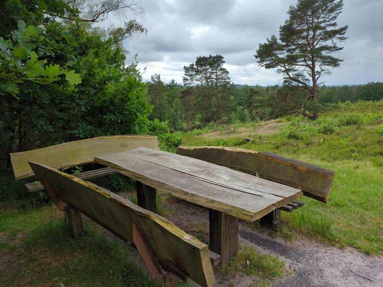 Restaurant und Café Boxberg, sehr groß und sehr gut. Wanderw: Radtouren ...