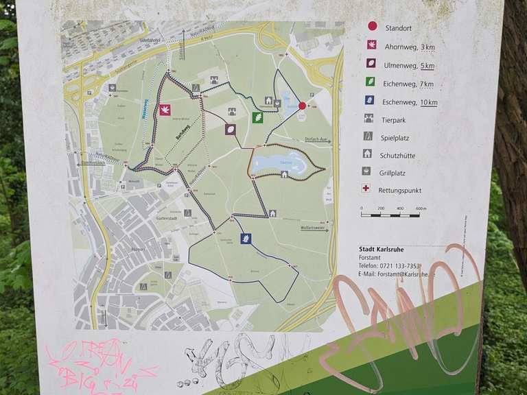 Oberwald - Übersichtsplan mit Wegrouten: Wanderungen und Rundwege | komoot