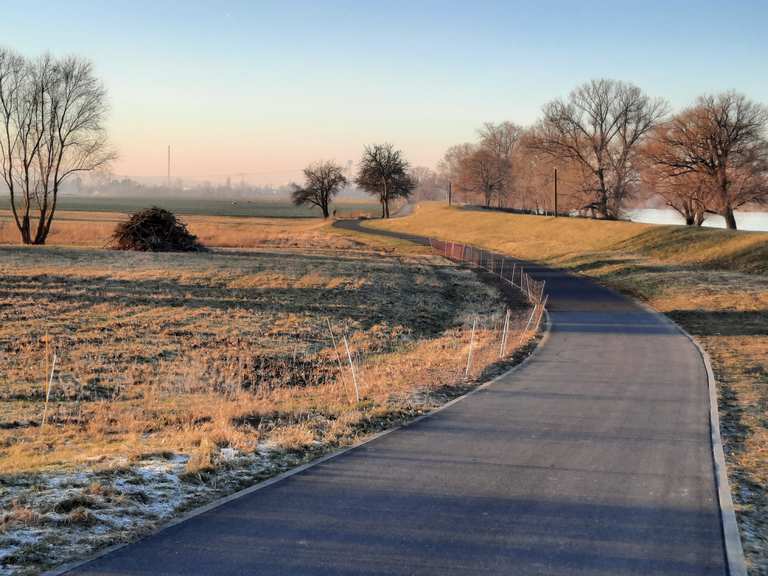 Dresden mit Elbe | road ride | Komoot