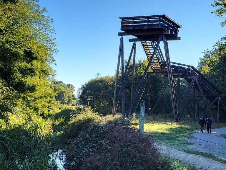 Boucle Forêt – Piste Cyclable Lége Lacanau au départ de Gazinet-Cestas ...