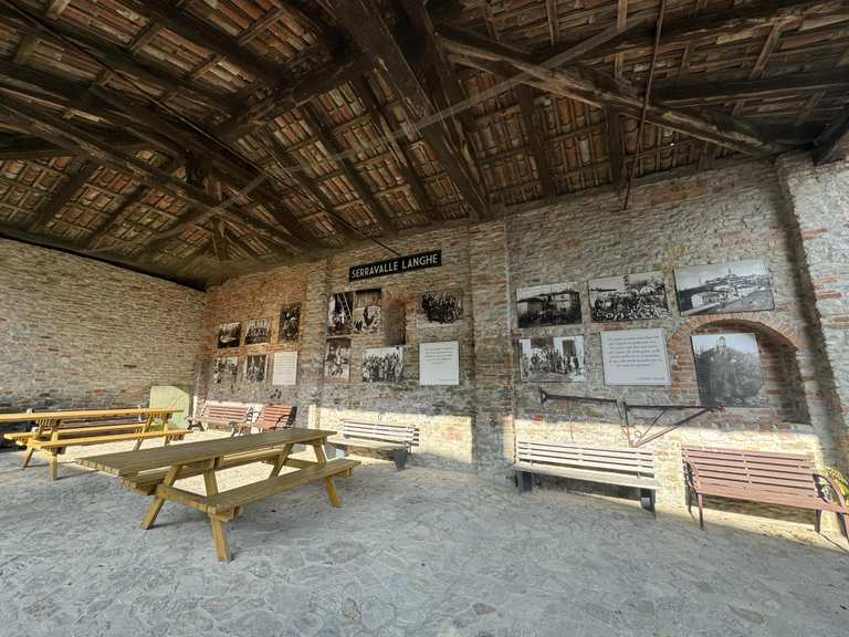 Percorso tra i vigneti da Roddino a Serravalle Langhe (via Percorso 208 ...