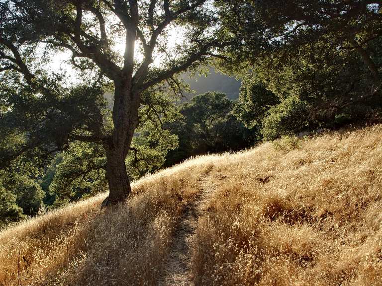 Knob Point & Old Finley Road double loop — Morgan Territory Regional ...