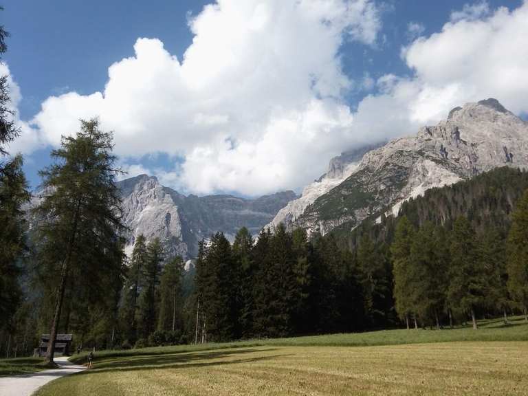 Sentiero del Prato dei Larici nel Parco Naturale Tre Cime : percorsi ...