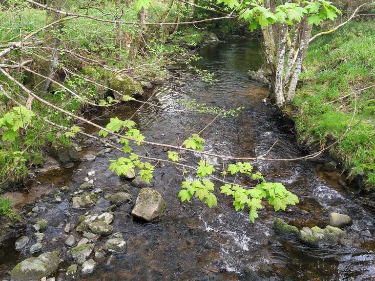 Fetteresso Bridge Over Cowie Water Routes for Walking and Hiking | Komoot