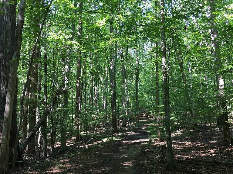 Union Mills Trail & Bull Run Occoquan Trail loop — Hemlock Overlook ...