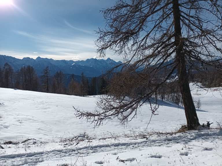 Panchina gigante di Col Pilaz: Wanderungen und Rundwege | komoot