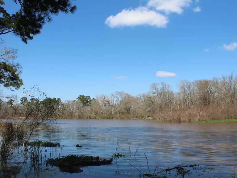 Lake Conroe north loop — Montgomery County, Texas | Rennrad-Tour | Komoot