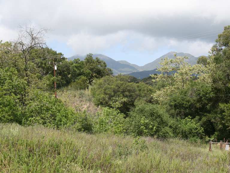 Vista Point loop from Live Oak Trail — O'Neill Regional Park | hike ...