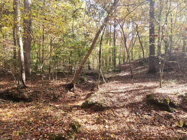 Poplar Point Trail loop — Kings Mountain State Park | hike | Komoot