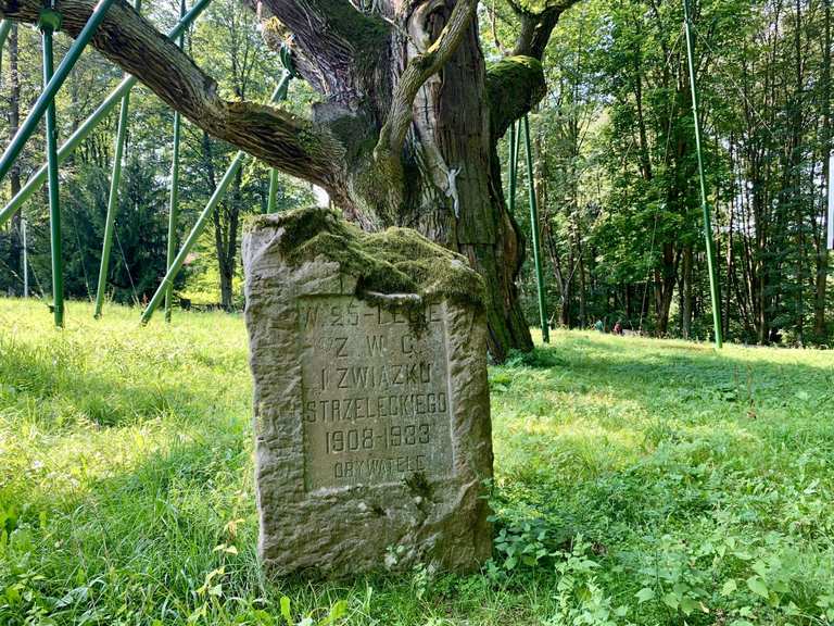 Bartek Oak Routes for Walking and Hiking | Komoot