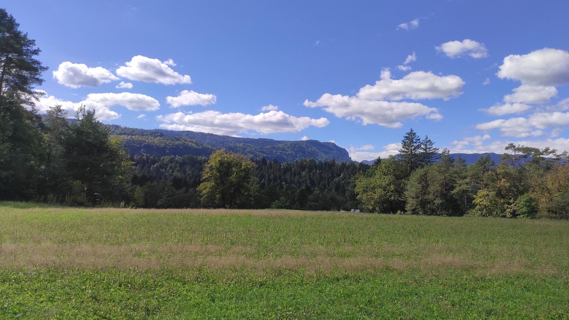 Einzigartig abgeschieden – Fernwandern auf dem Juliana Trail | Wander ...