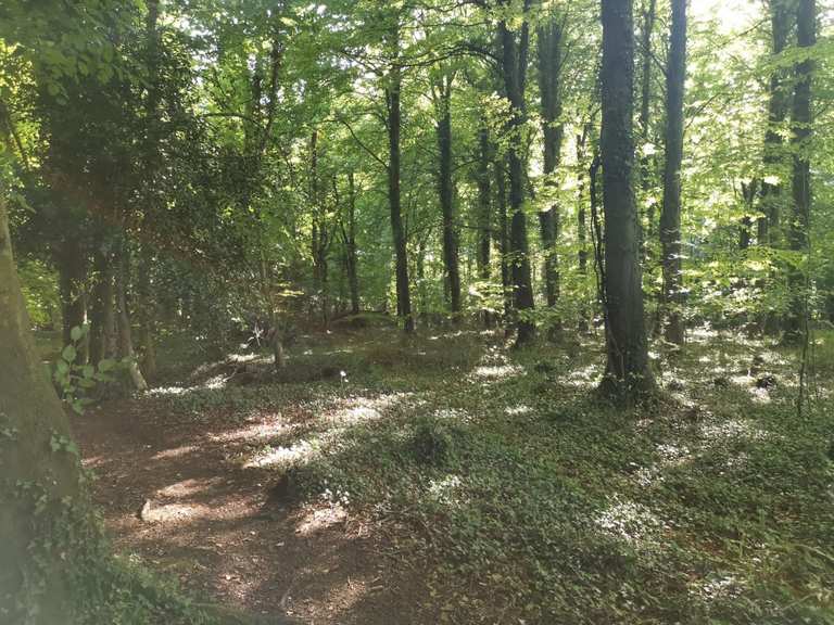 Whiteways Cafe and MTB Trails – Short sharp fast single track loop from ...