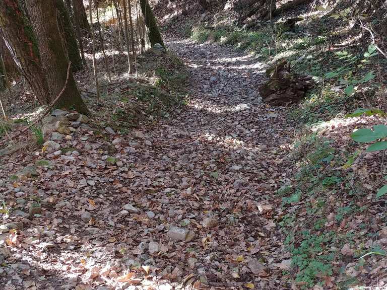 Switchback Trail from Pelegata to Ponte in Valtellina - Mountain Bike ...