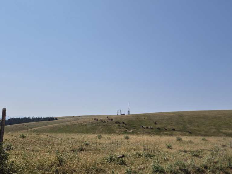 Fossa Rotonda - Cycle Routes and Map | Komoot