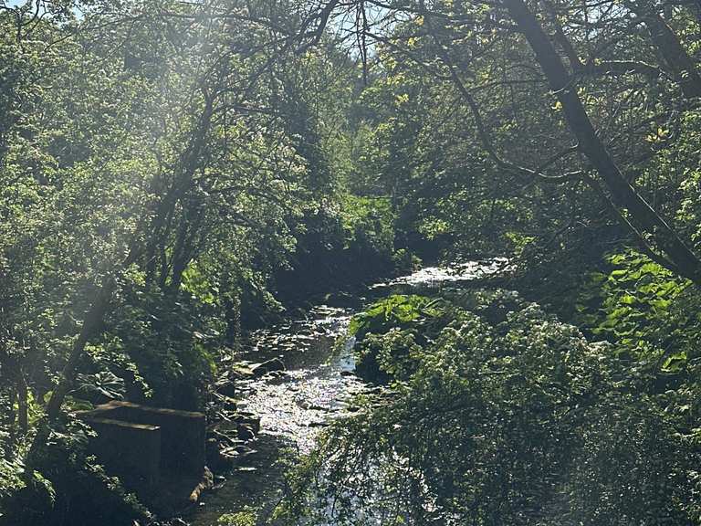 River Deerness - Cycle Routes and Map | Komoot