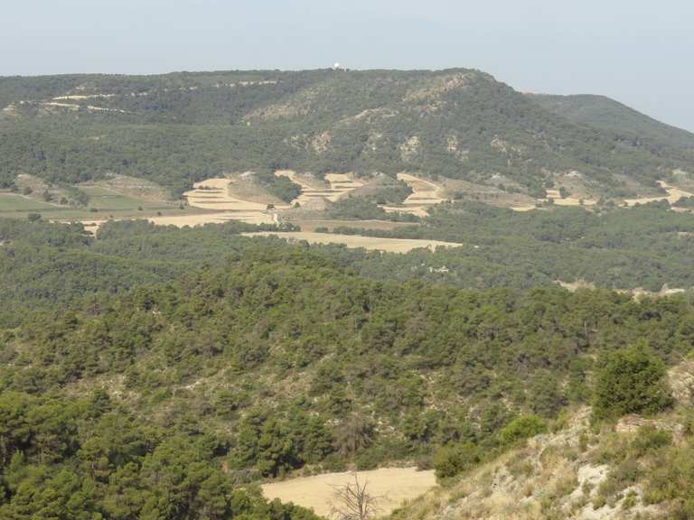 Puig Enebro - Mountain Bike Trails & Tracks | Komoot