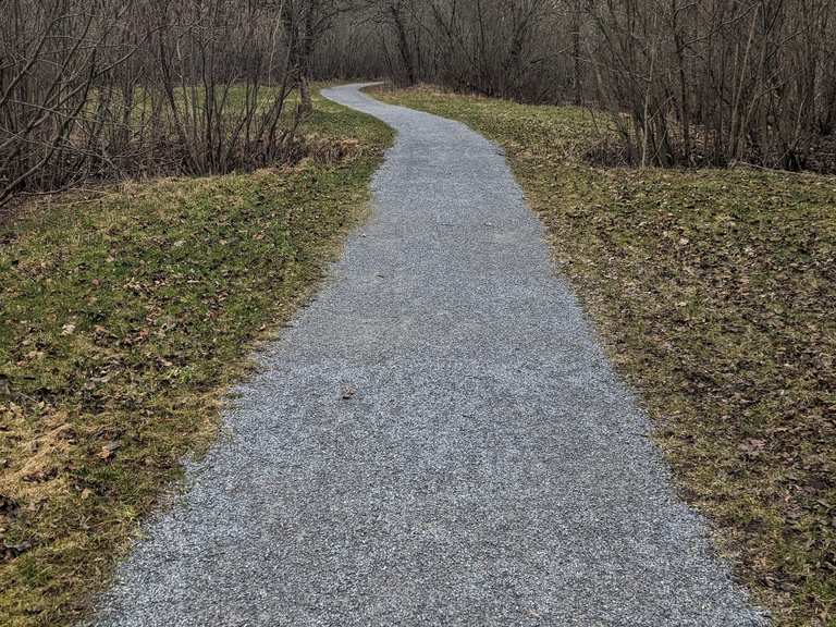 Sussex Nature Trail loop — Sussex | wandeling | Komoot