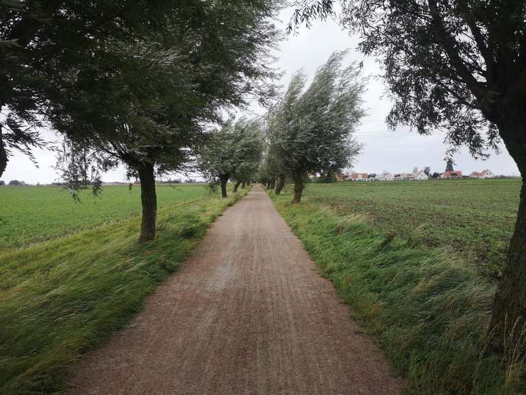 Pista ciclabile alberata : percorsi ciclabili | Komoot