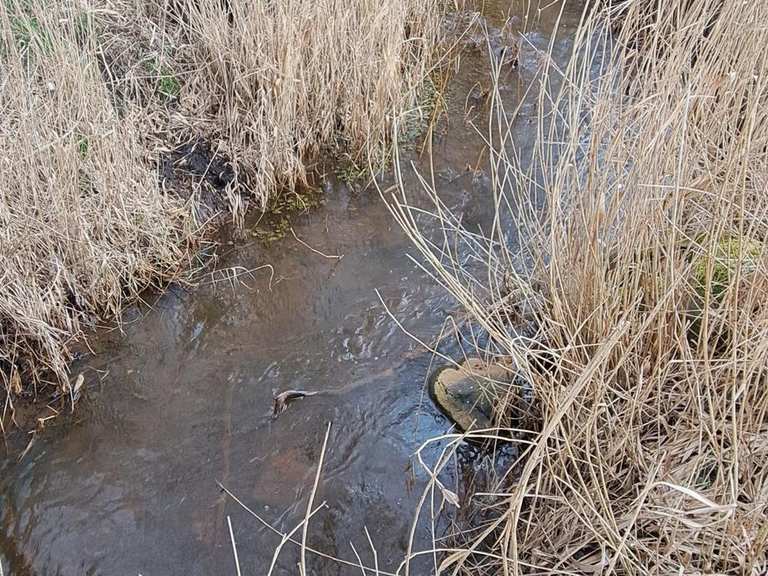 Picnic area on the Wümme River Routes for Walking and Hiking | Komoot