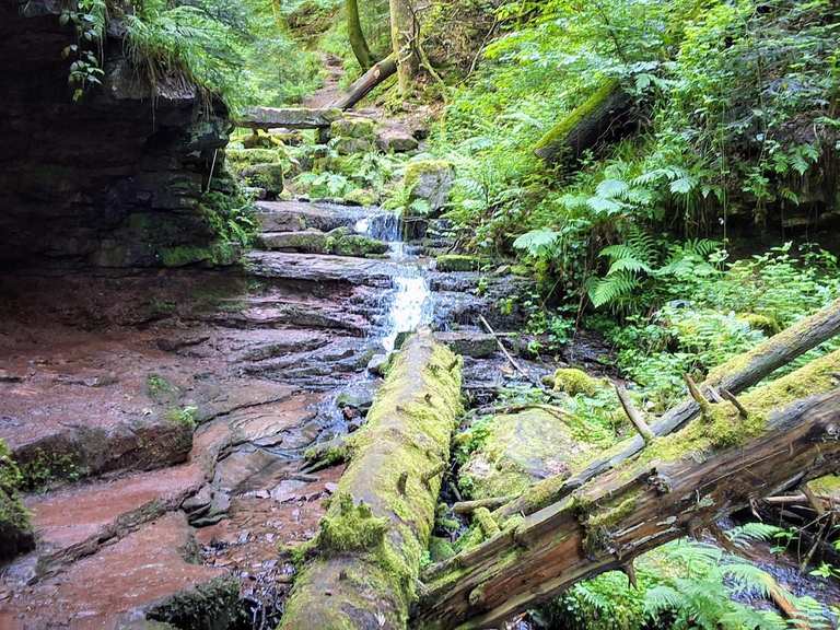 Stone Bridge in Wolfsschlucht: Wanderungen und Rundwege | komoot