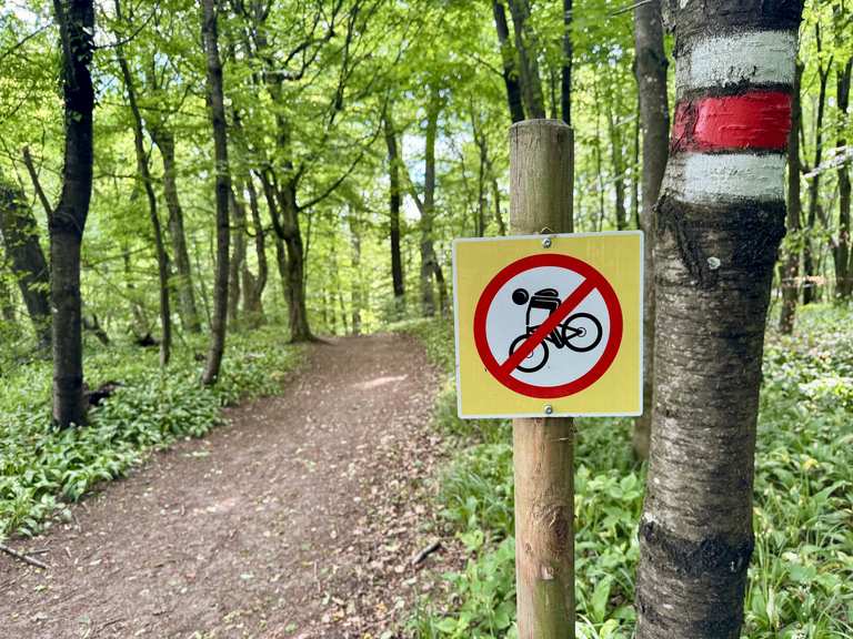 Mostalm Trail - Vienna Woods, Lower Austria | Running Highlight | Komoot
