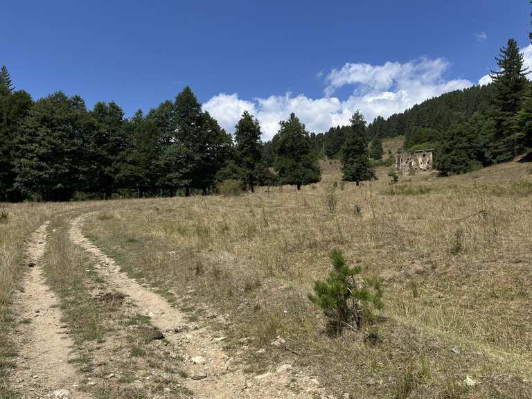 Trail from Caporosa to Lake Arvo Mountain Bike Trails & Tracks | Komoot